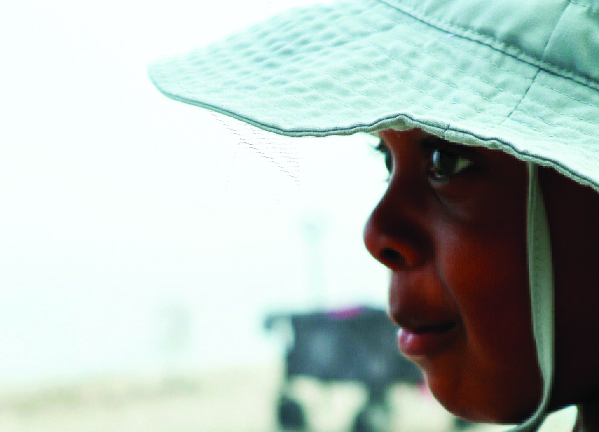 Wildseed Centre for Art & Activism – A multipurpose community space ...