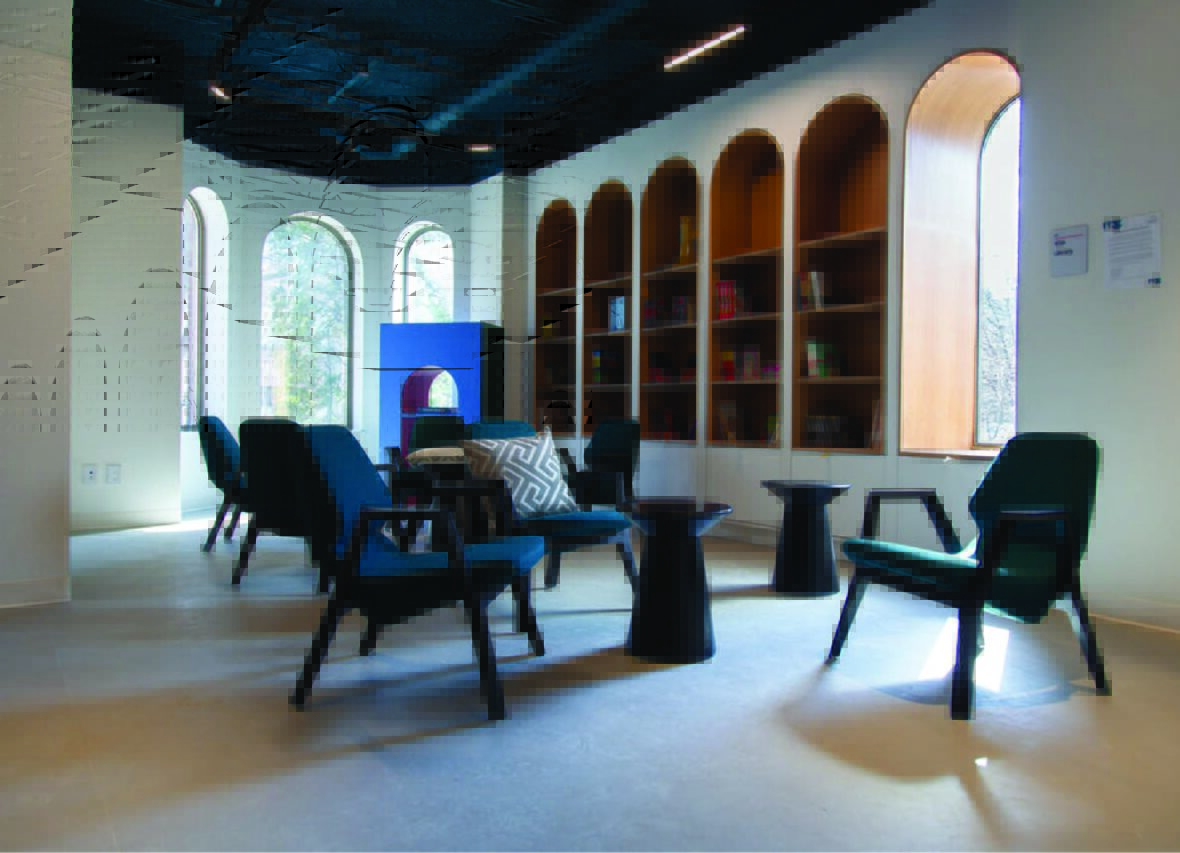 Liberation Library – Wildseed Centre for Art & Activism